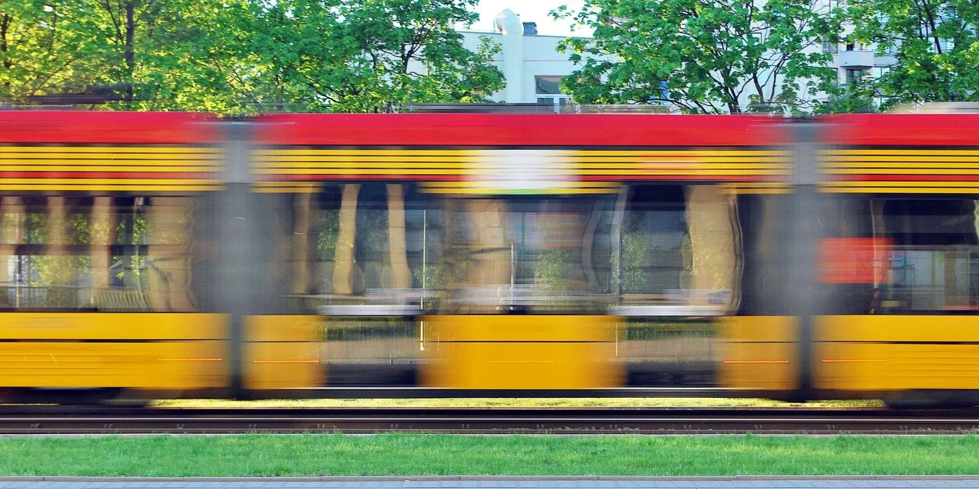 Tree Valuation: implementing new strategies for urban forestry in the ...