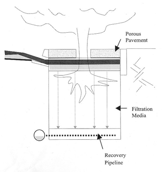 An investigation of the potential to use street trees and designed ...