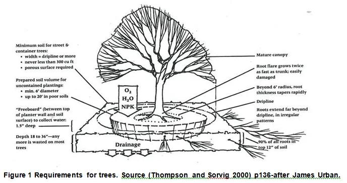 Thinking Like a Tree: Developing a Framework for Tree Sensitive Urban ...