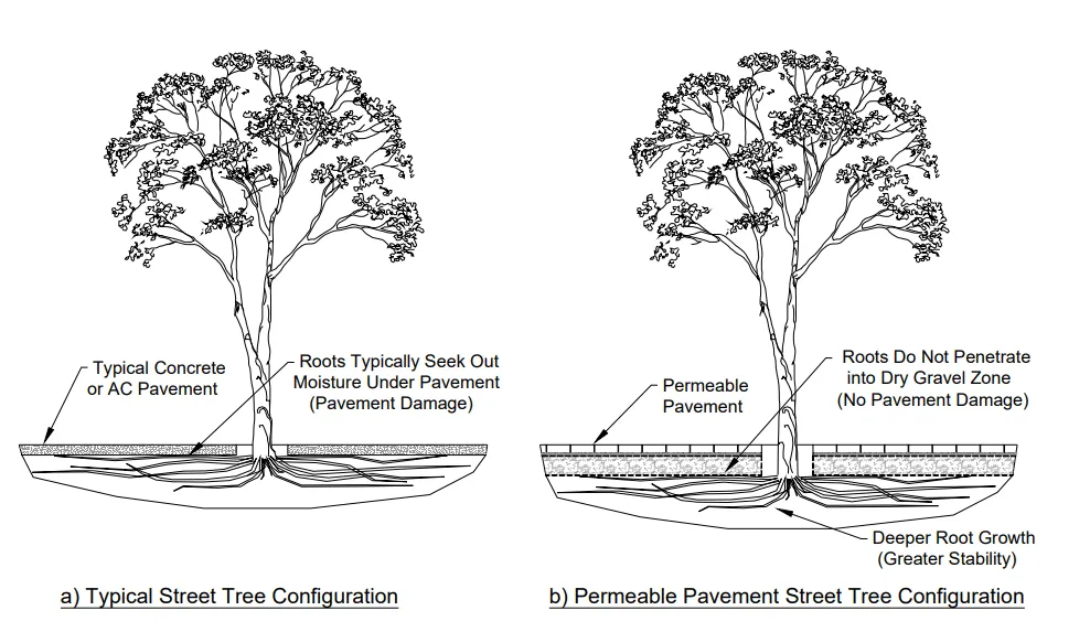 Trees as essential infrastructure: Engineering and design ...
