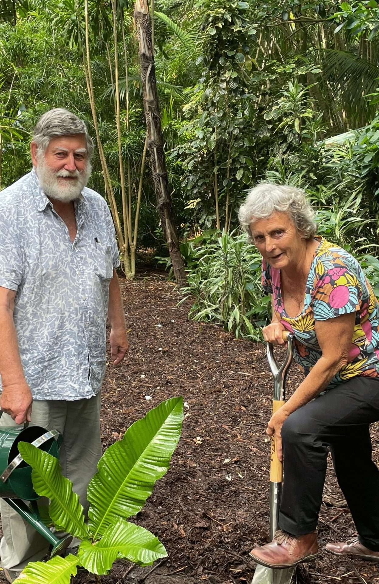 Penny & Clive Blazey AM - Treenet