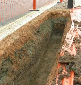 Engineered Space for trees in Mt Barker District Council - Treenet