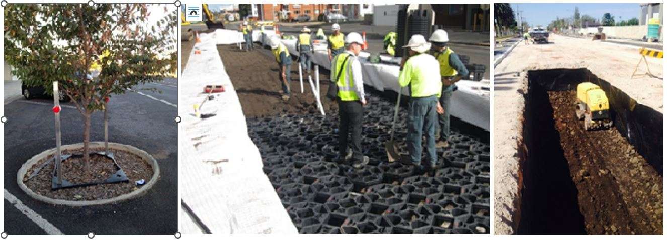 Engineered Spaces for Trees in Dubbo Regional Council: Modified ...