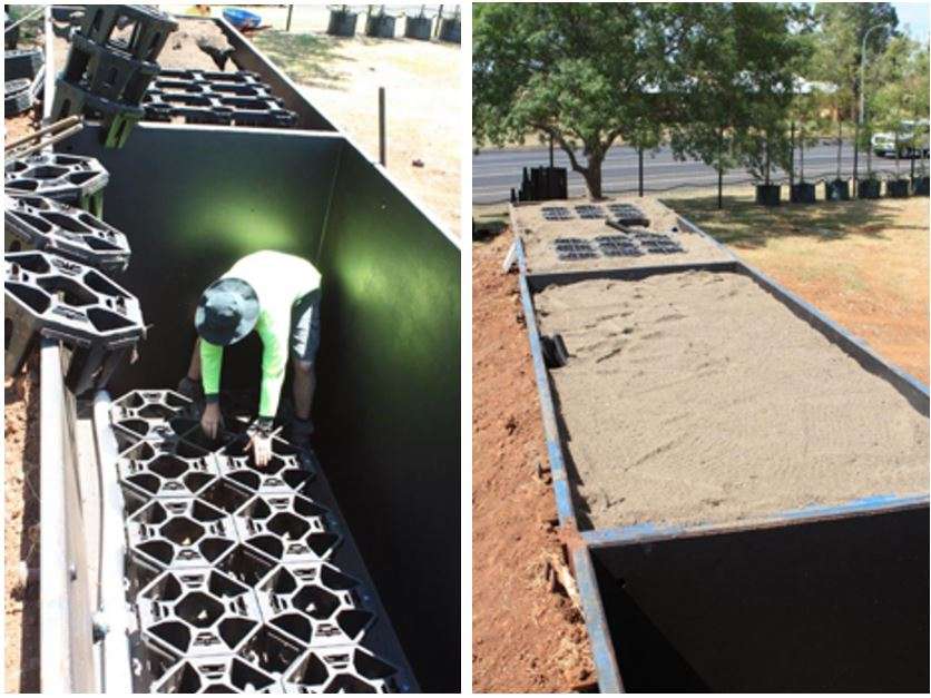 Engineered Spaces for Trees in Dubbo Regional Council: Modified ...