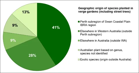 Understanding Perth’s native verge garden revolution