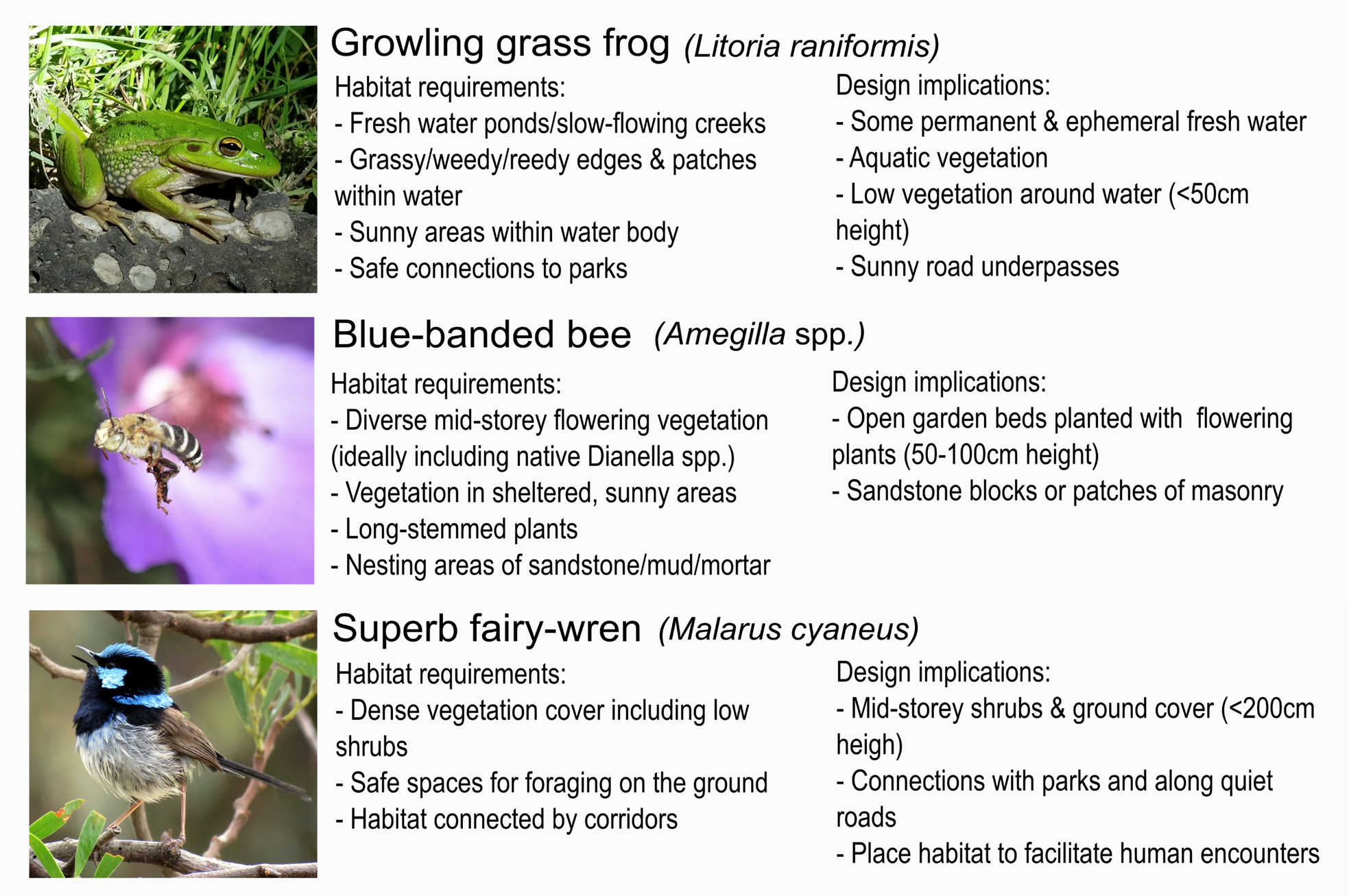 Integrating biodiversity sensitive urban design (BSUD) into urban ...