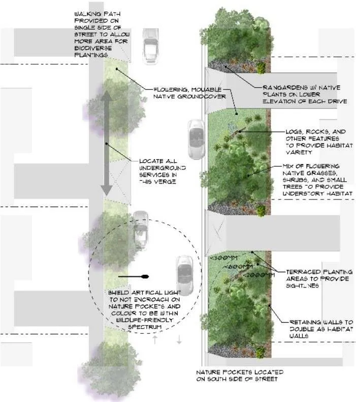 Integrating biodiversity sensitive urban design (BSUD) into urban ...